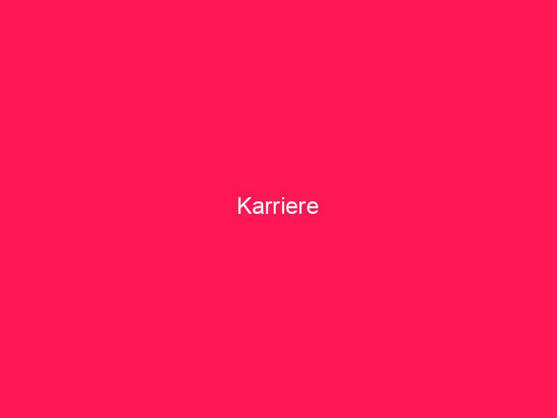 Karriere - vectorsoft