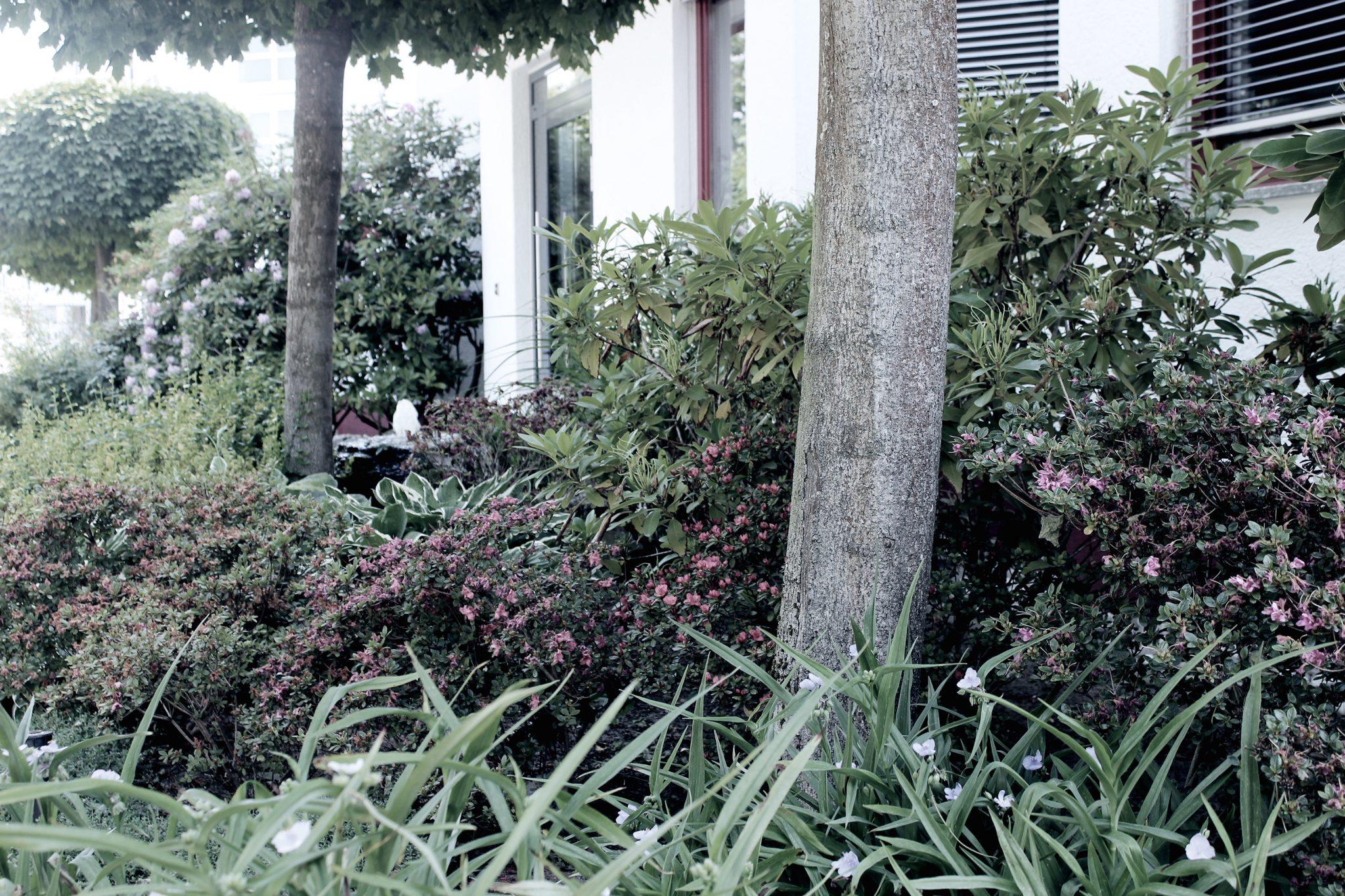 vectorsoft - make your ideas real